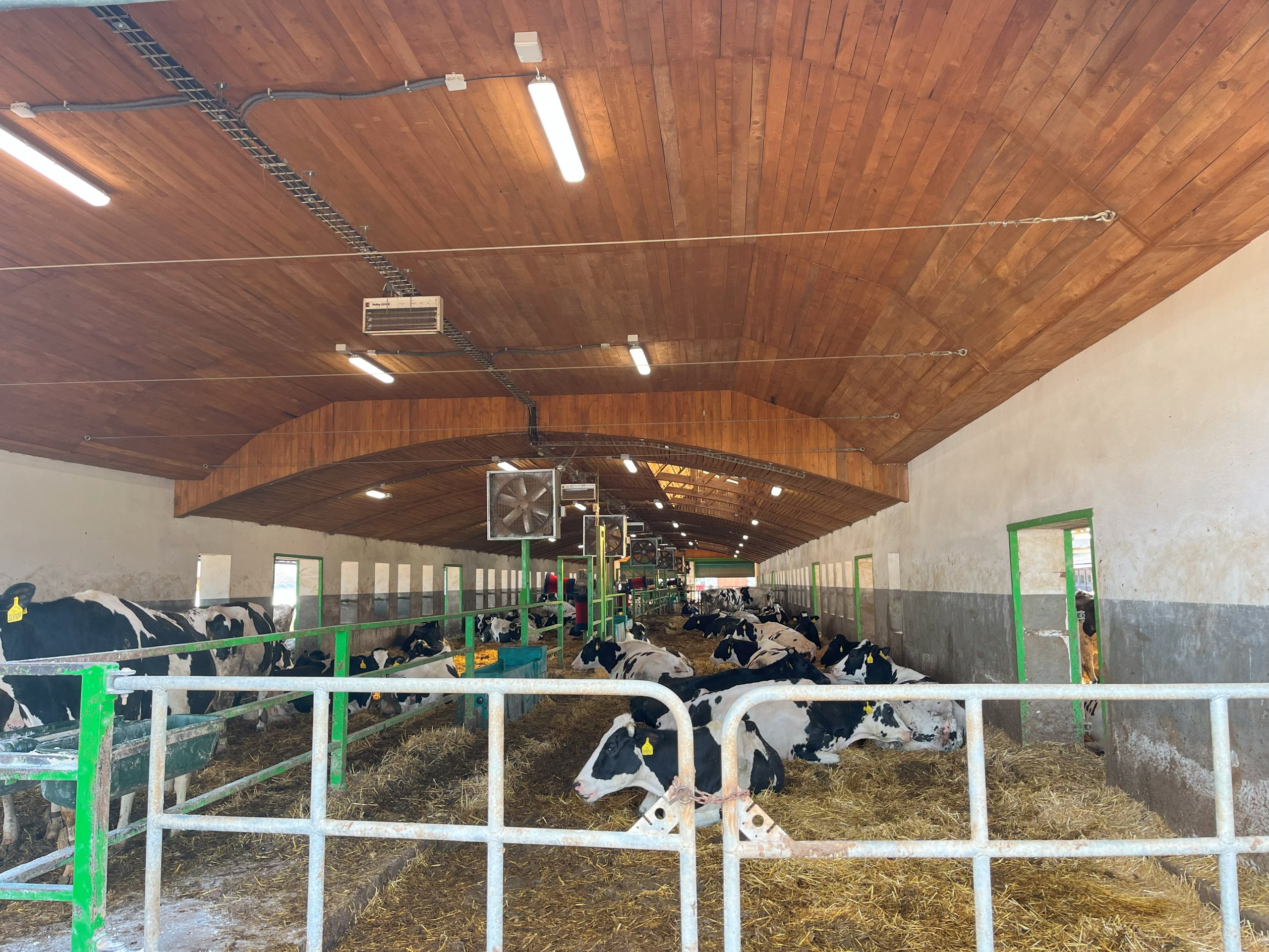 LITOBRATŘICE - Compactive.cz